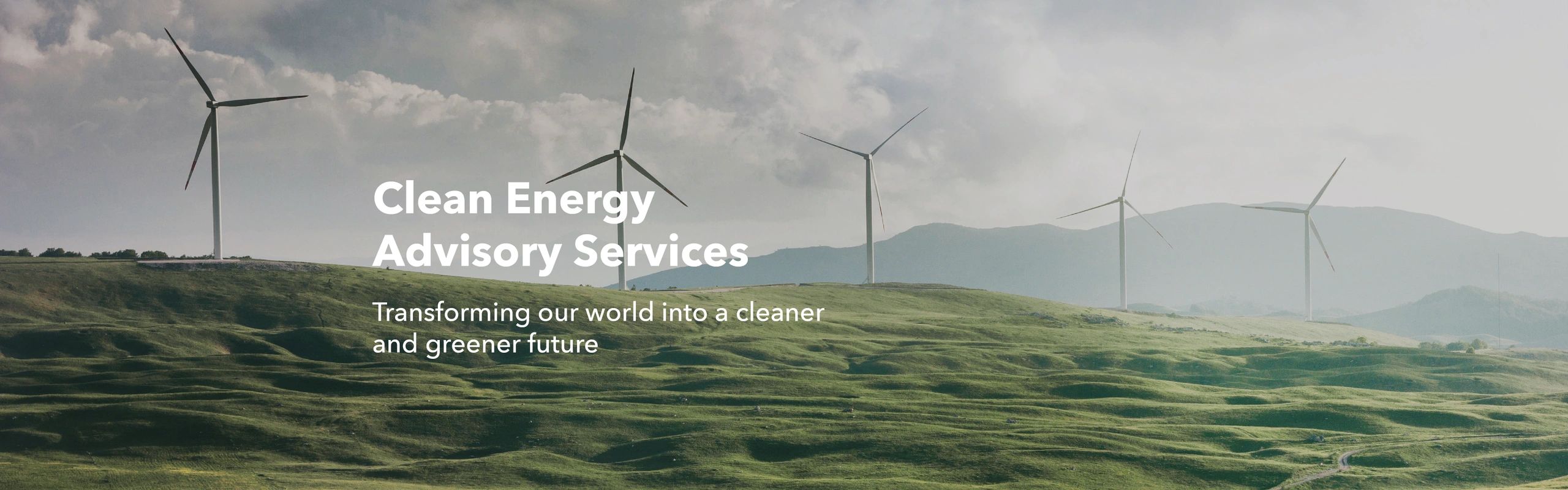 Carbon Offset Project